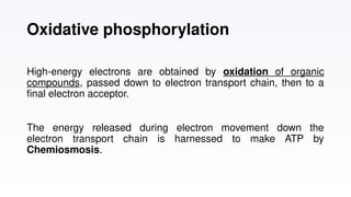 General Biology: Mechanisms of ATP Generation | PPTX