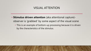 Mechanisms of attention CH 3.pptx