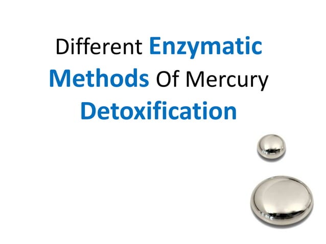 Mechanisms Of Bacterial Resistance Against Mercury Toxicity | PPT