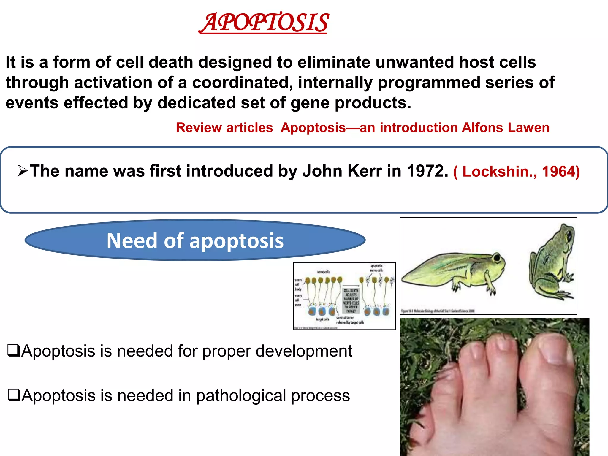 Mechanisms of cell death | PPT