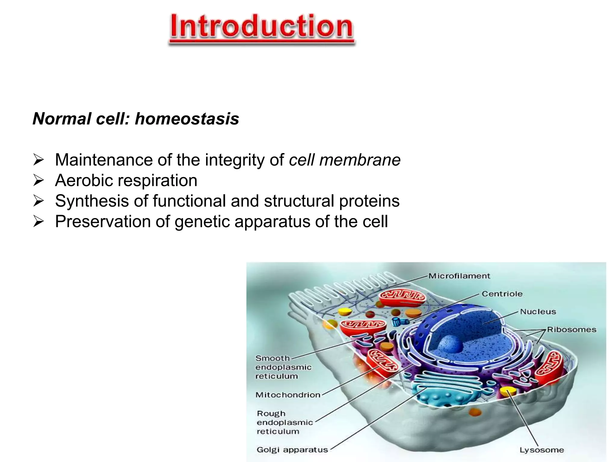 Mechanisms of cell death | PPT