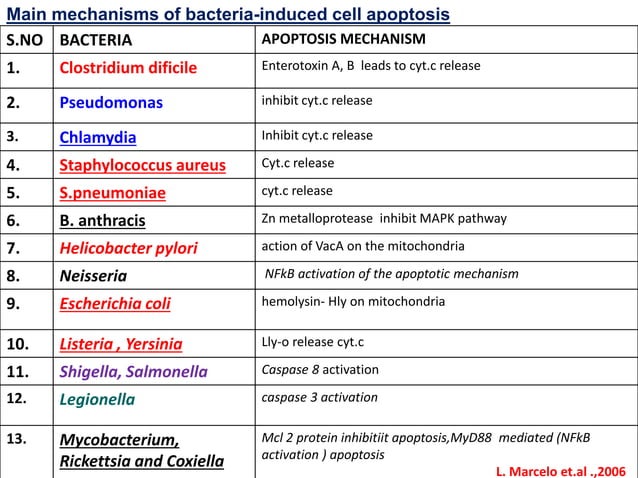 Mechanisms of cell death | PPT | Genetics | Science
