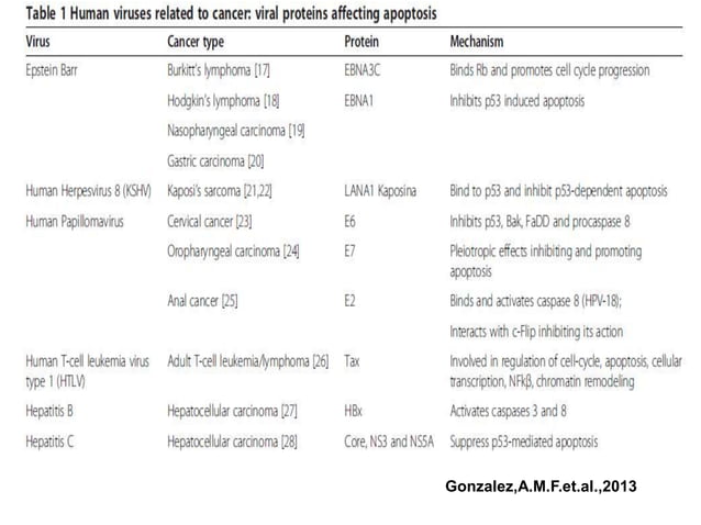 Mechanisms of cell death | PPT | Genetics | Science