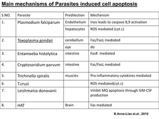 Mechanisms of cell death | PPT
