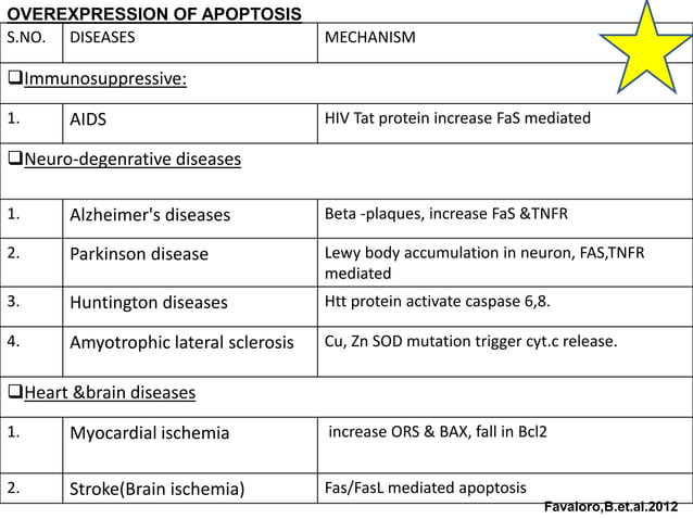 Mechanisms of cell death | PPT | Genetics | Science