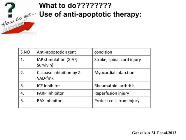 Mechanisms of cell death | PPT | Genetics | Science