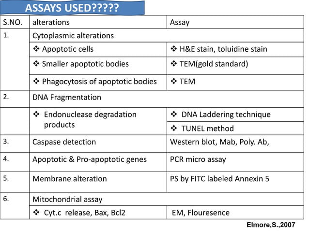 Mechanisms of cell death | PPT | Genetics | Science