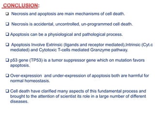 Mechanisms of cell death | PPT
