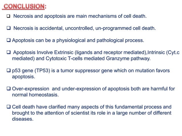 Mechanisms of cell death | PPT | Genetics | Science