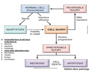 Mechanisms of cell death | PPT