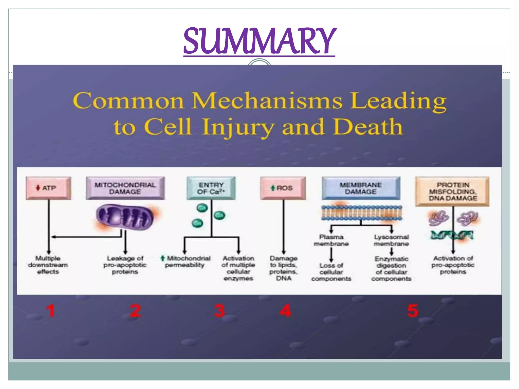 Mechanisms of cell injury | PPTX