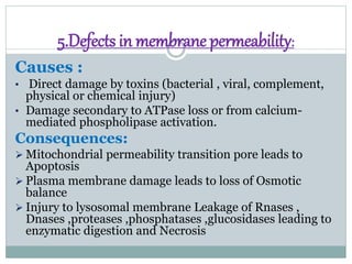 Mechanisms of cell injury | PPTX