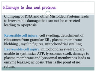 Mechanisms of cell injury | PPTX