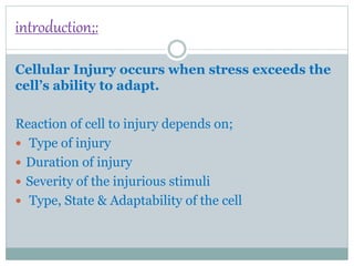 Mechanisms of cell injury | PPTX
