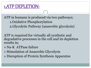 Mechanisms of cell injury | PPTX
