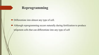 Mechanisms of cell regeneration — from | PPTX