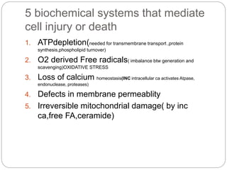 Mechanisms of cellular injuries | PPTX