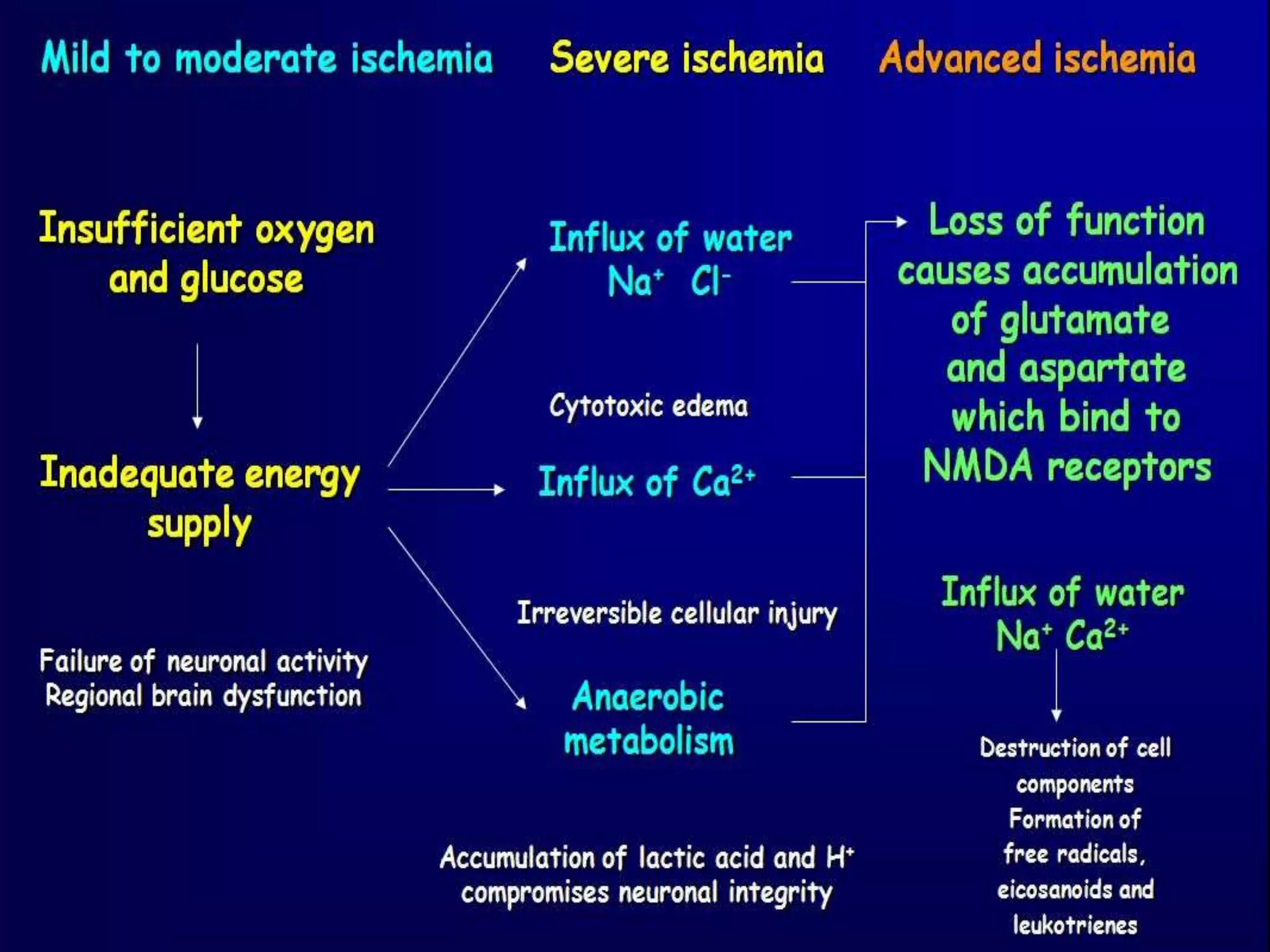 Mechanisms of cerebral injury and cerebral protection | PPTX