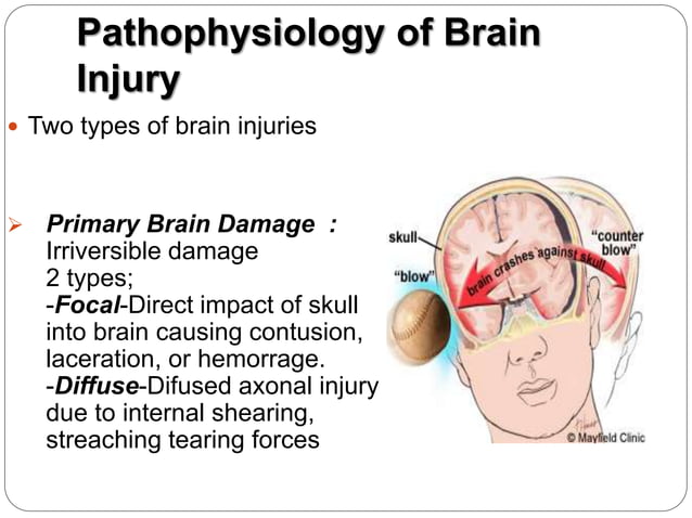 Mechanisms of cerebral injury and cerebral protection | PPTX