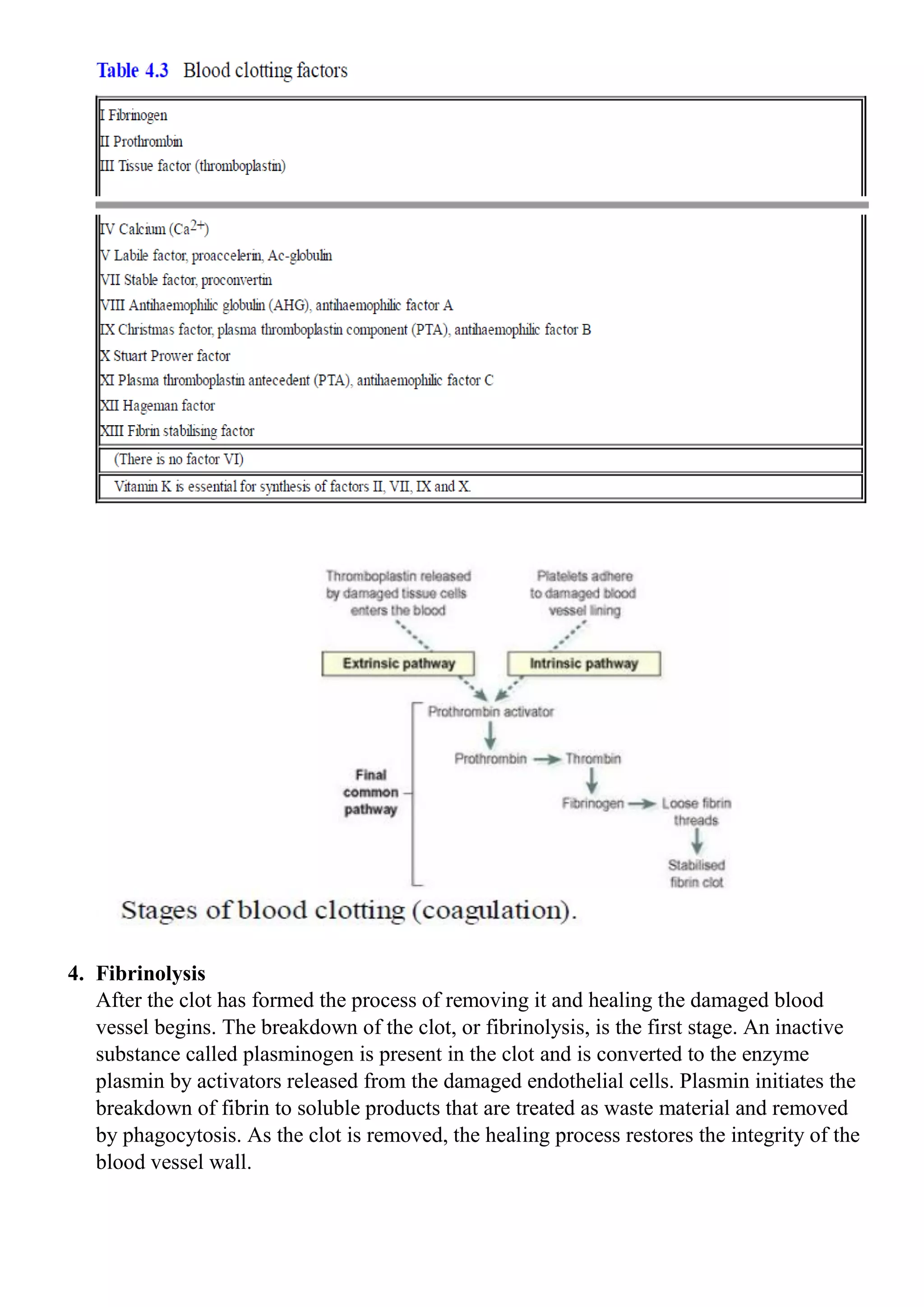 Mechanisms of Coagulation..pdf