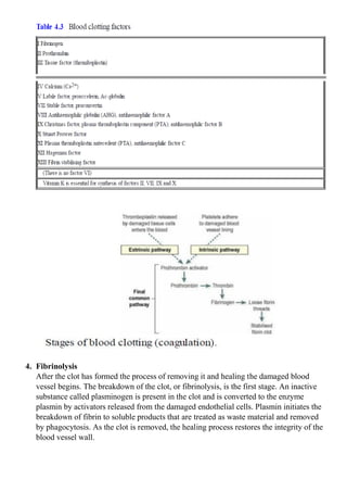 Mechanisms of Coagulation..pdf