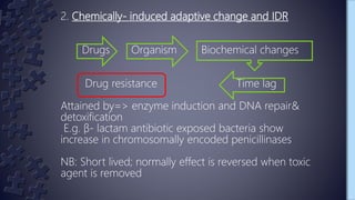 Mechanisms of drug resistance | PPTX