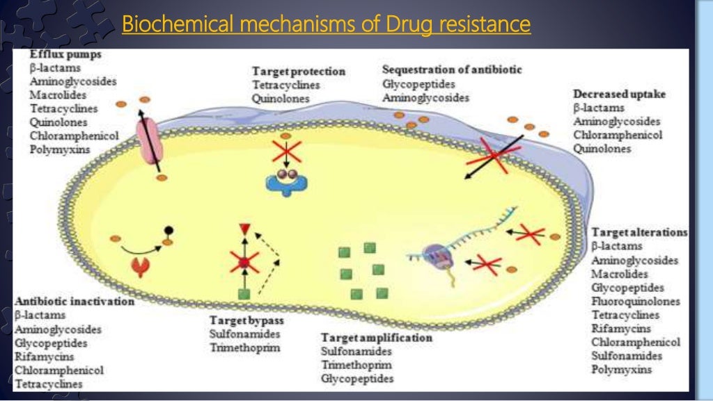 Mechanisms of drug resistance