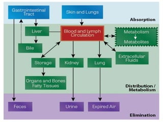 Mechanisms of Environmental Toxicants.pptx