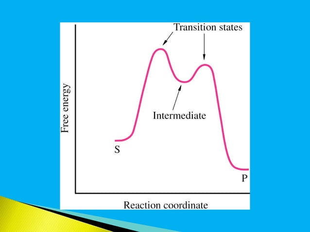 Mechanisms of enzyme action | PPT