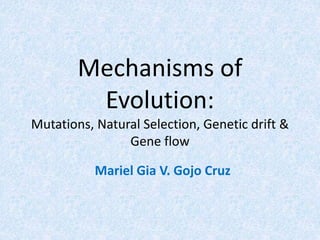 Mechanisms of evolution | PPTX