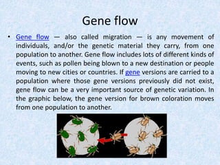 Mechanisms of evolution | PPTX