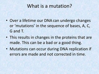 Mechanisms of evolution | PPTX