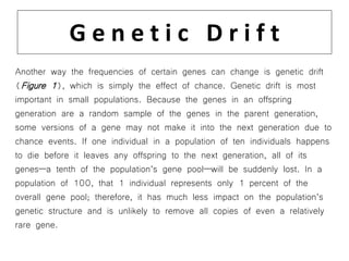 MECHANISMS OF EVOLUTION.pptx