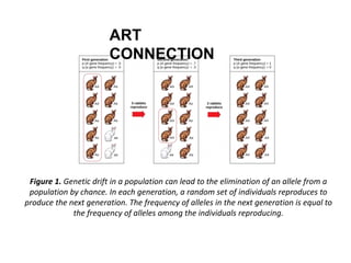 MECHANISMS OF EVOLUTION.pptx