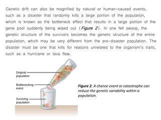 MECHANISMS OF EVOLUTION.pptx