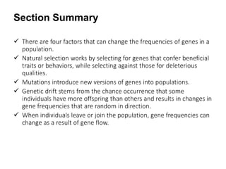MECHANISMS OF EVOLUTION.pptx