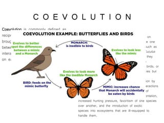 MECHANISMS OF EVOLUTION.pptx