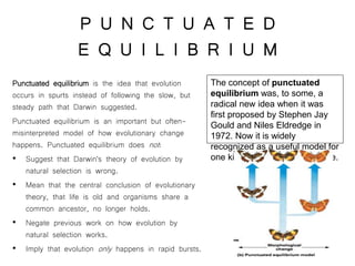 MECHANISMS OF EVOLUTION.pptx