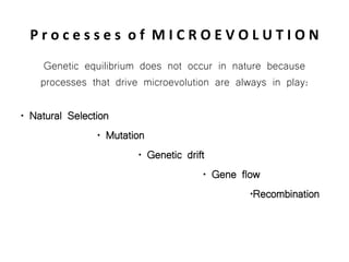 MECHANISMS OF EVOLUTION.pptx
