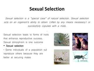 MECHANISMS OF EVOLUTION.pptx