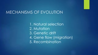 Mechanisms of Evolution.pptx