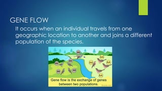 Mechanisms of Evolution.pptx