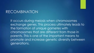 Mechanisms of Evolution.pptx