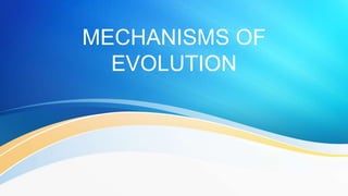 MECHANISMS OF EVOLUTION.pptx