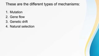 MECHANISMS OF EVOLUTION.pptx