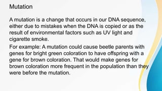 MECHANISMS OF EVOLUTION.pptx