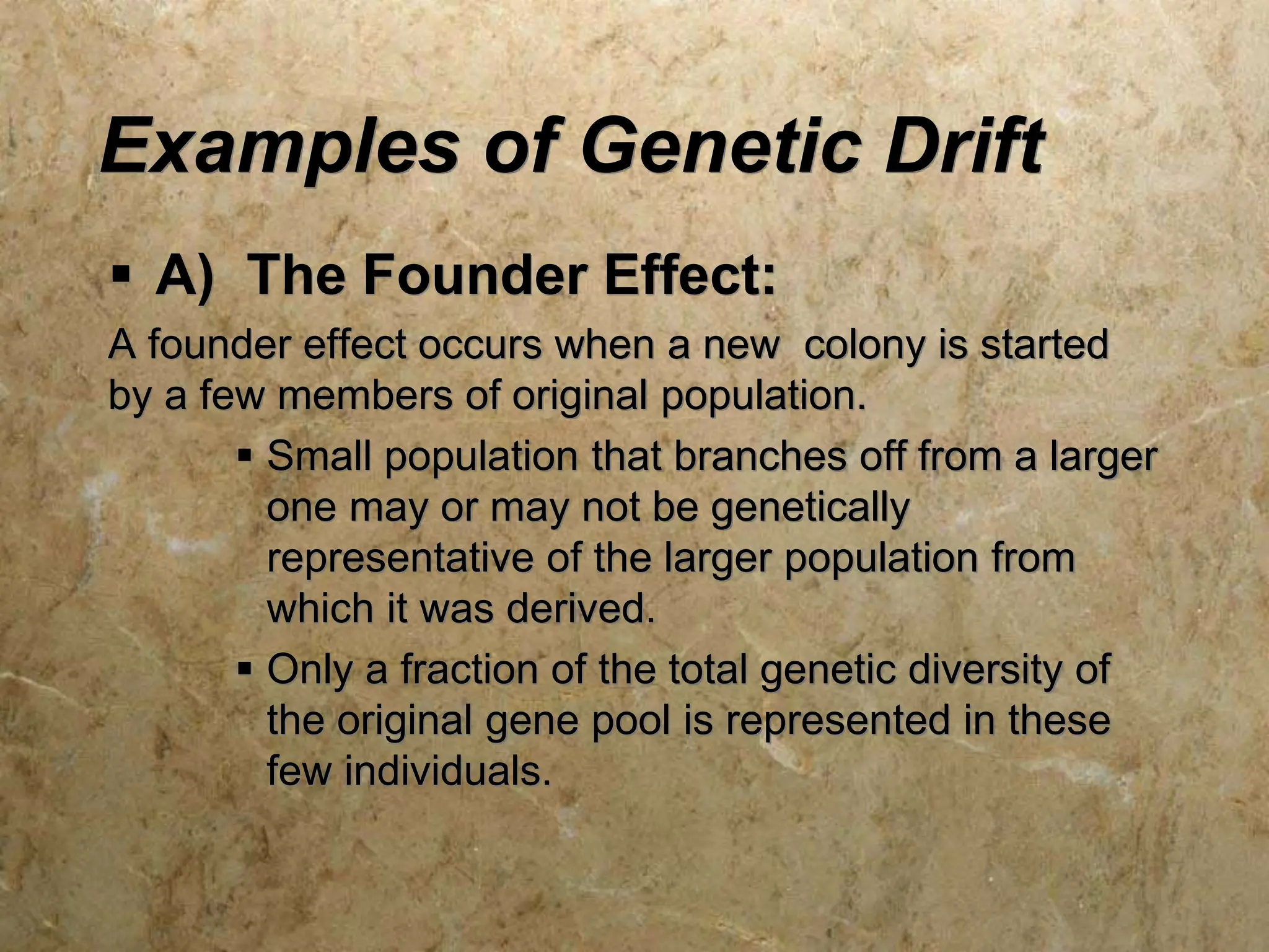 Mechanisms of Evolution.ppt