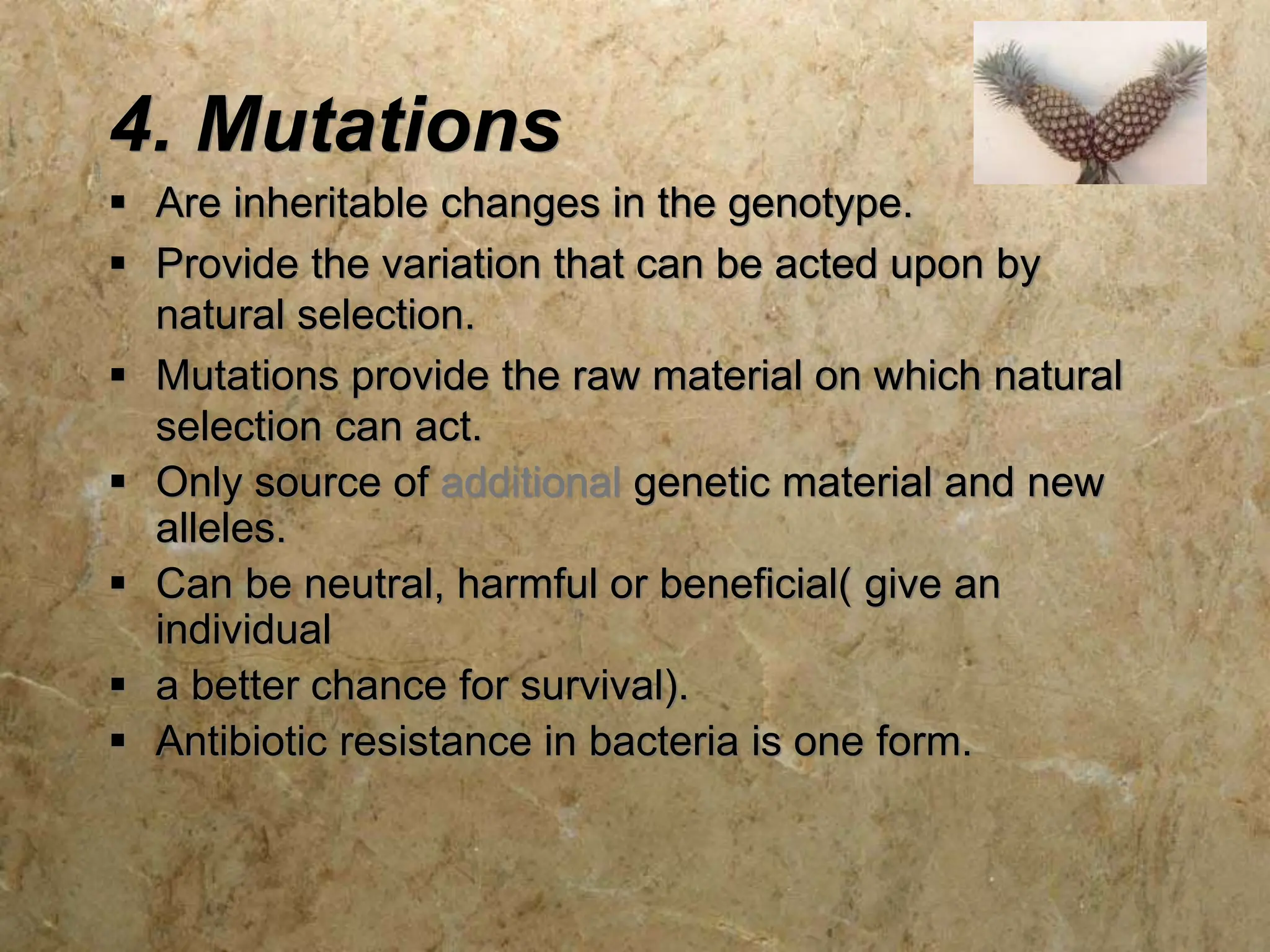 Mechanisms of Evolution.ppt