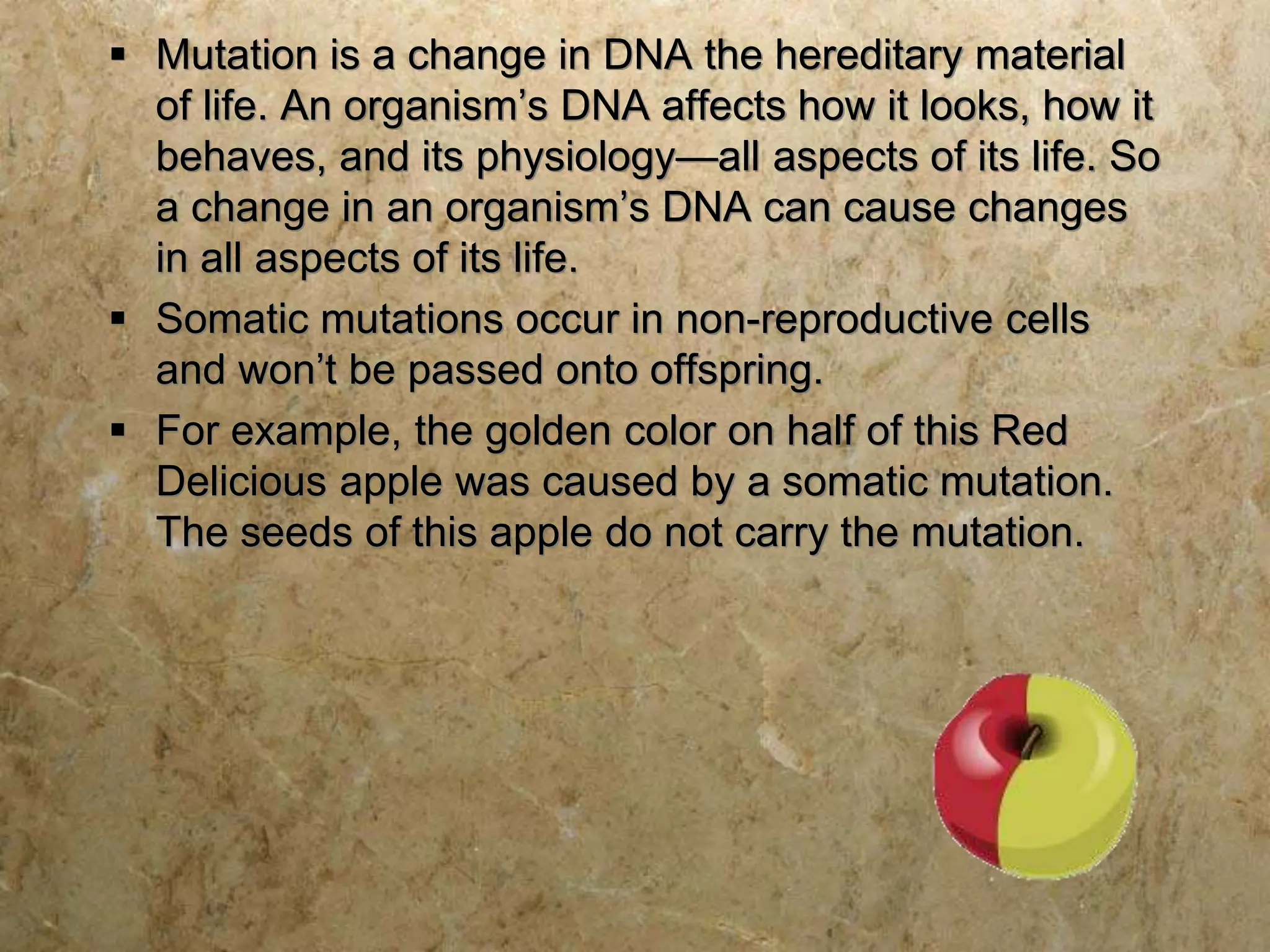 Mechanisms of Evolution.ppt