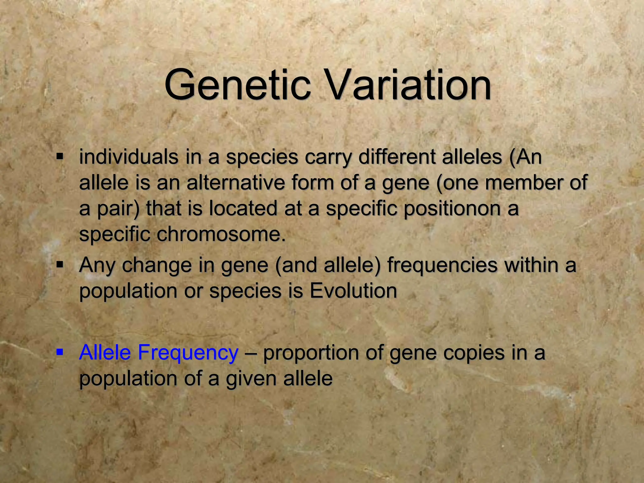 Mechanisms of Evolution.ppt